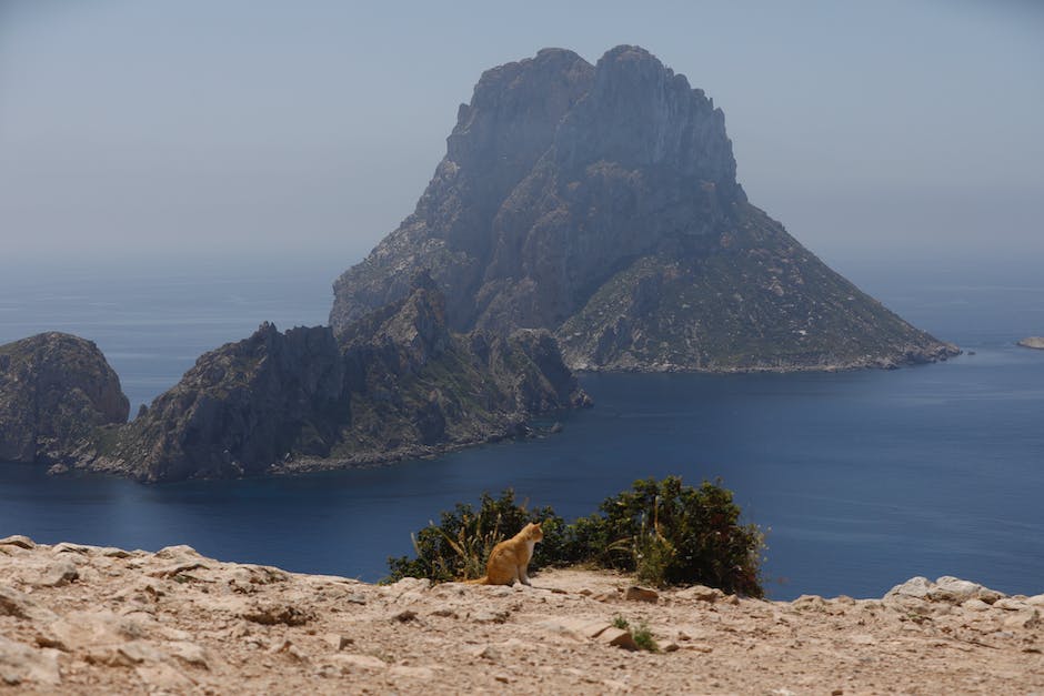 ℹ Todo lo que Necesitas Saber sobre ¿Qué es un Quiste? – Guía ...