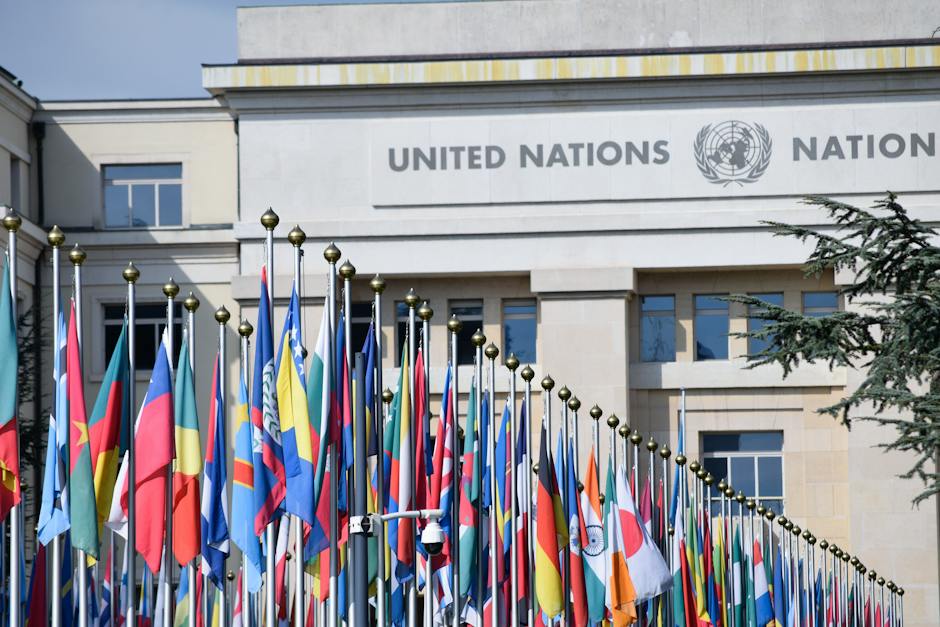 ℹ ¿Qué es un yonki? Descubre todo sobre esta palabra y su significado